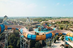 Areen | A Desert Bloom,A Community Reimagined